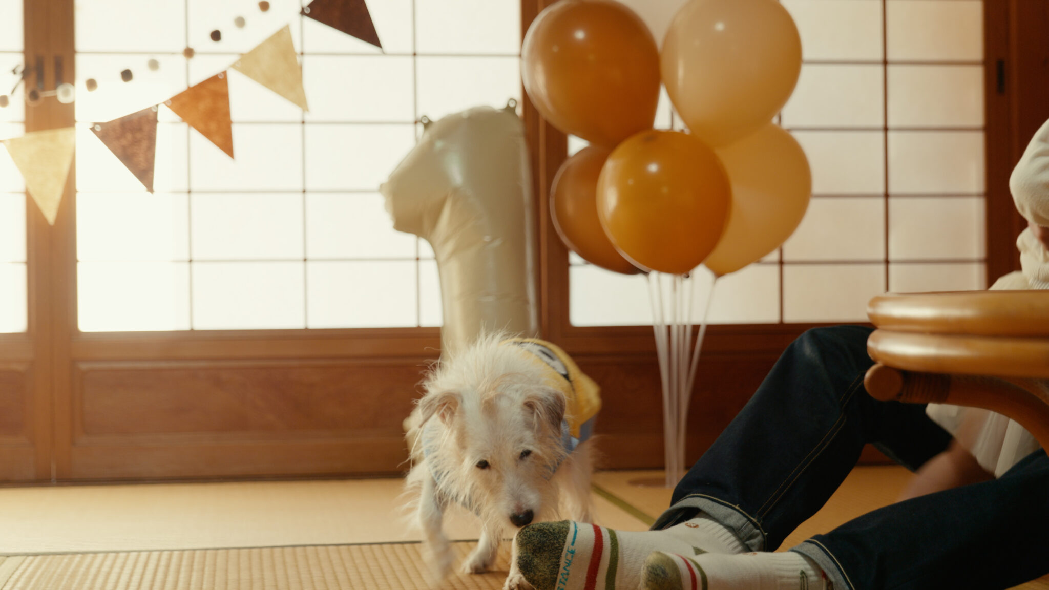 高須家のアイドル | TAKASU TILE