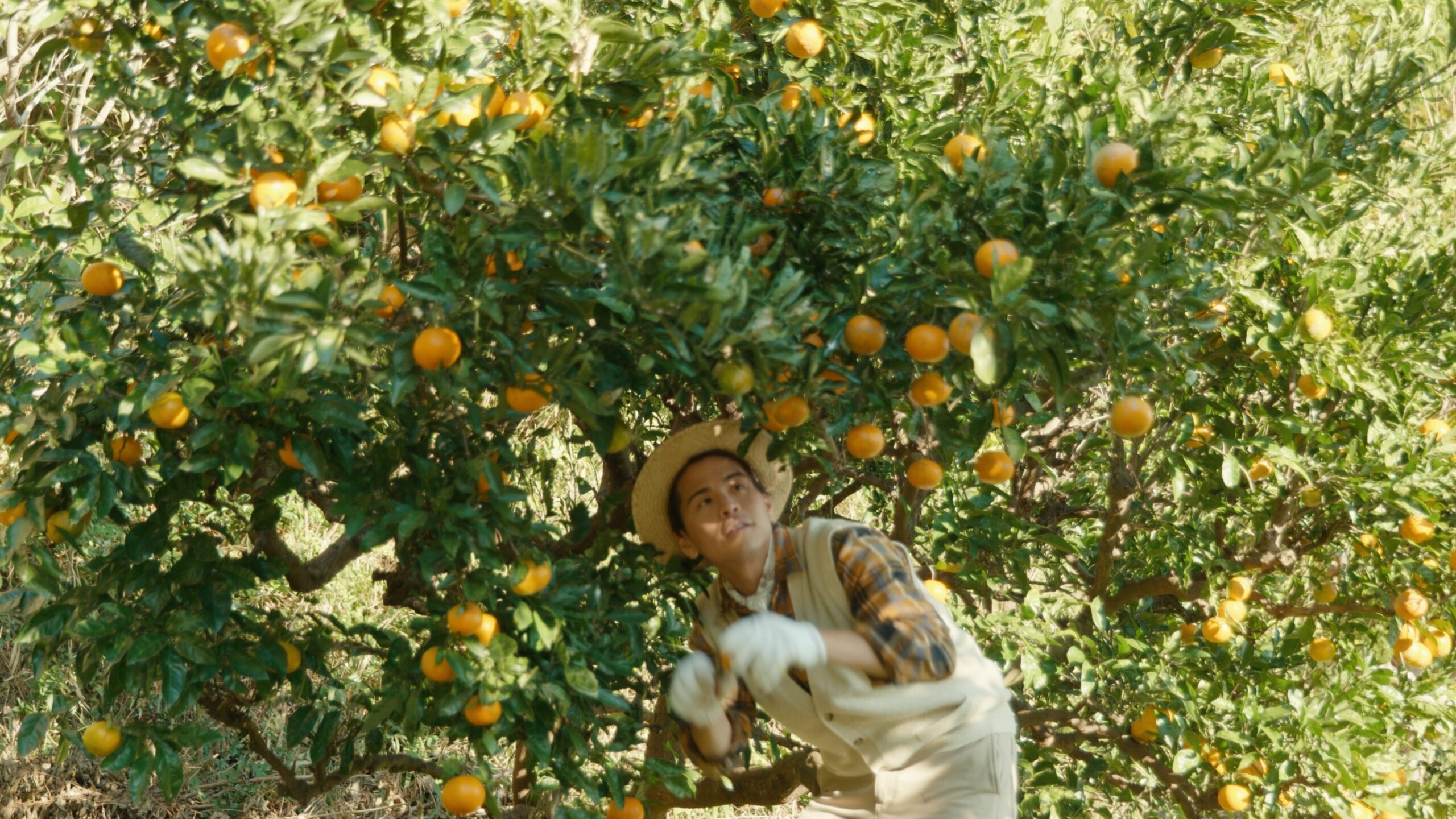 幸せは分けあっこ🍋 | TAKASU TILE