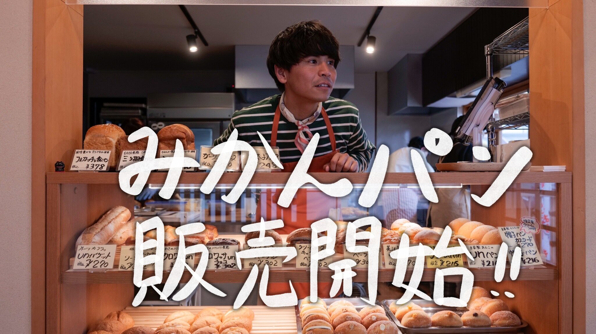 本日から販売開始！ | TAKASU TILE