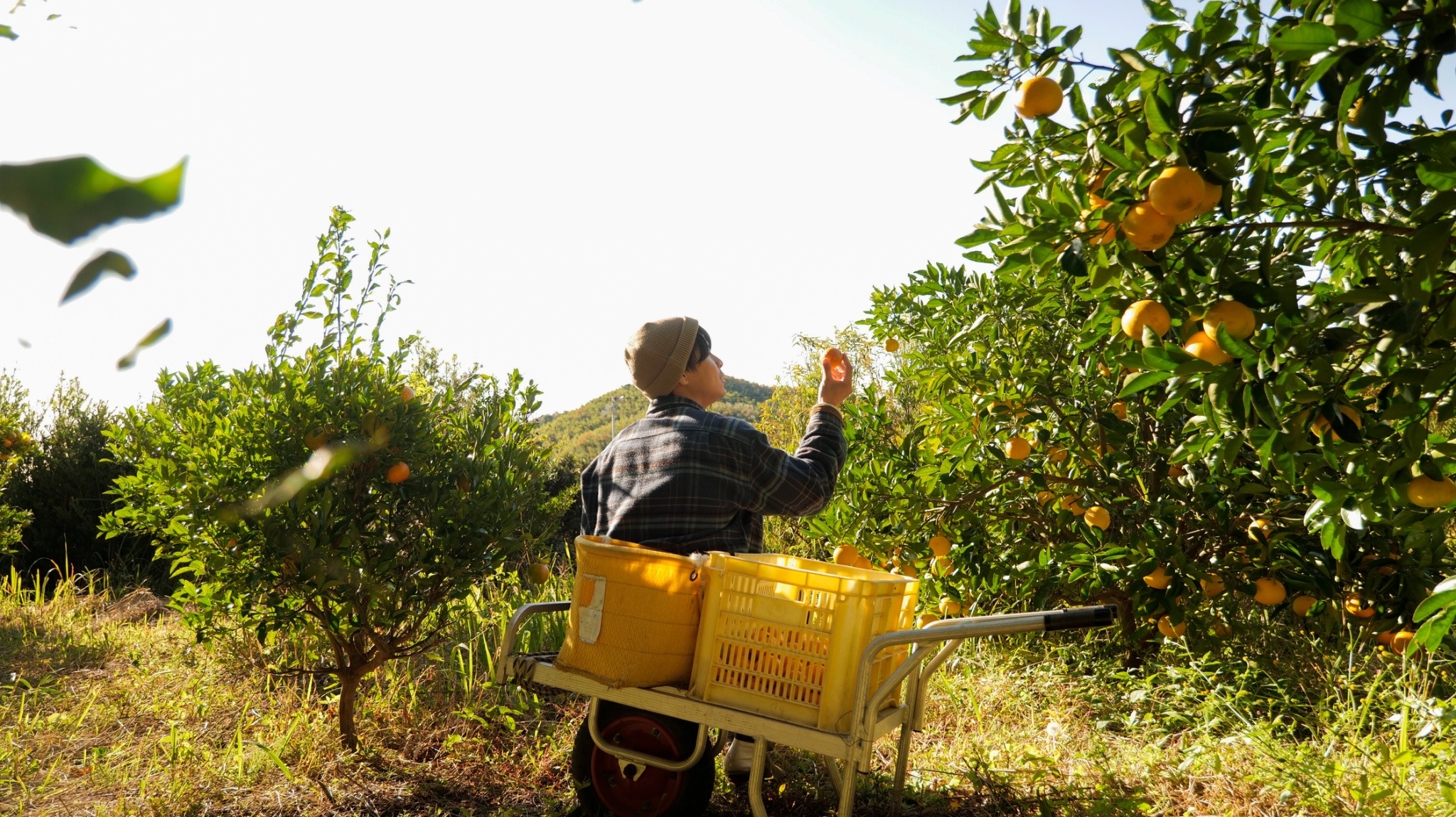今が一番幸せ | TAKASU TILE